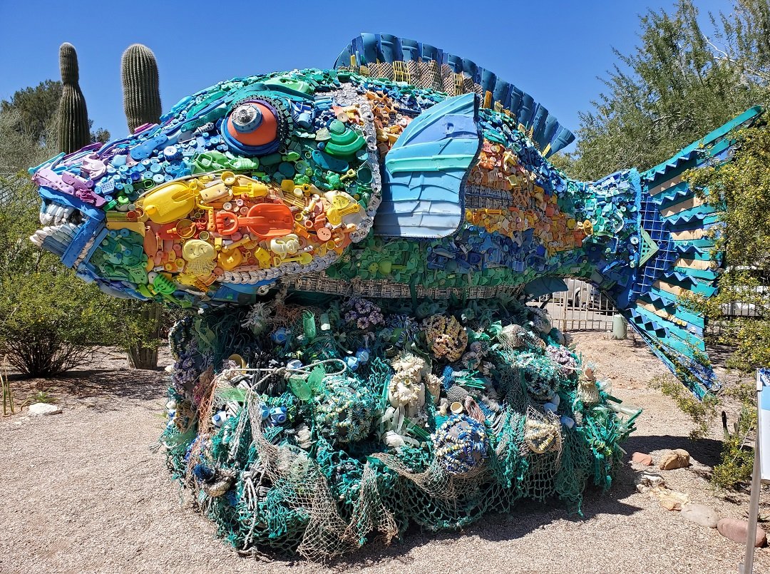 Lonely Cactus and a Giant Plastic Fish - Hot Gardens
