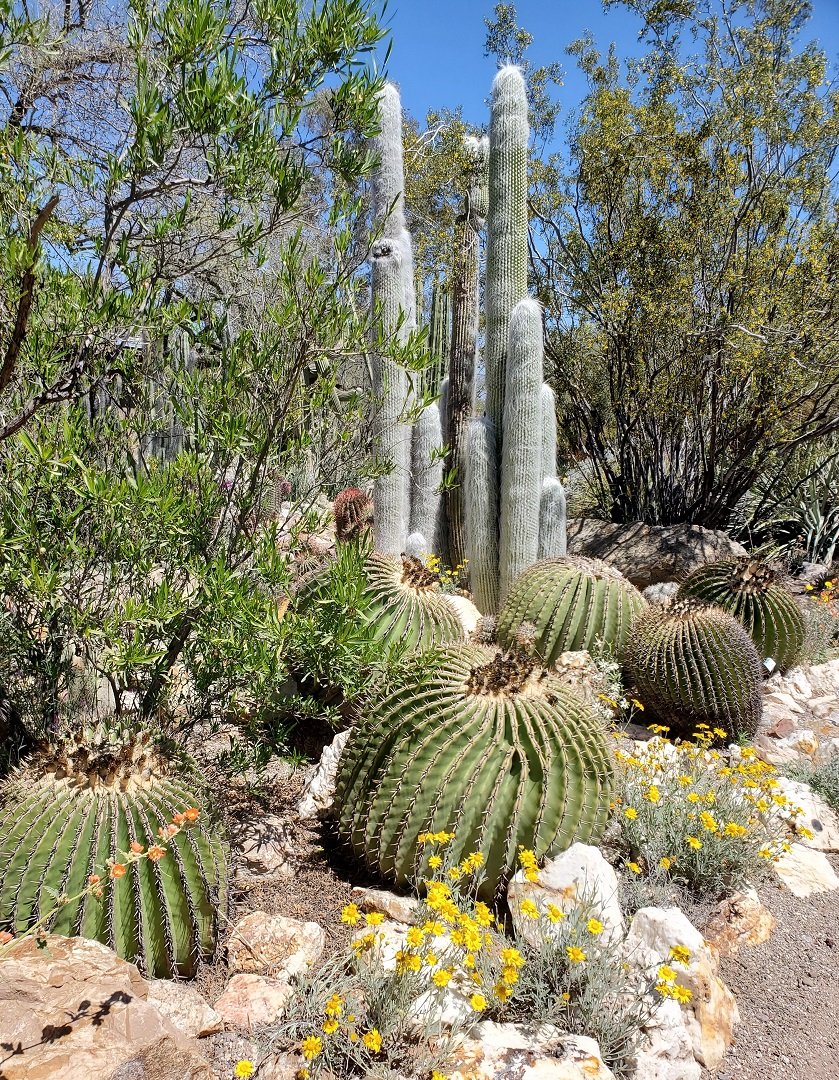 What to do when its too hot to garden – Hot Gardens
